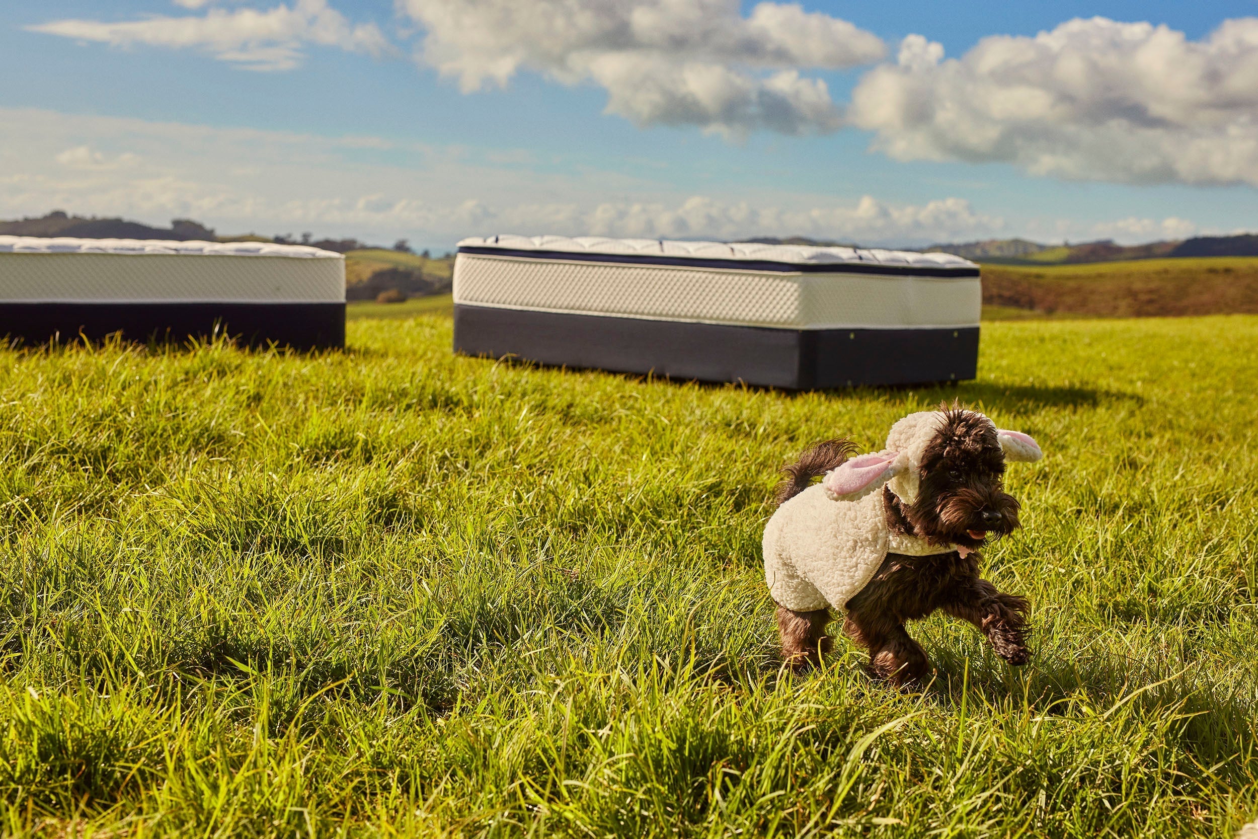 New Comfi mattress top care tips