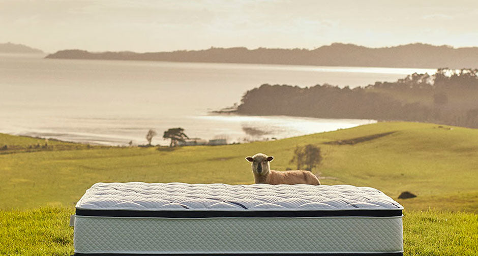 Single mattress in NZ | Comfi